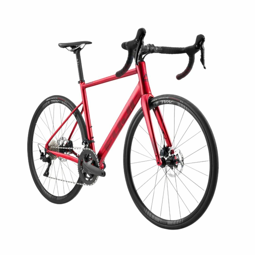 ROAD BIKE RENTAL – Bikes & Riders